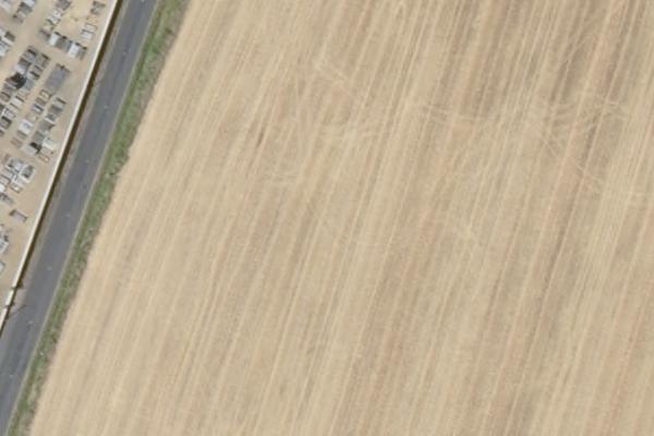 Treetreesegmentation Instance Segmentation Dataset And Pre Trained Model By Segmentation