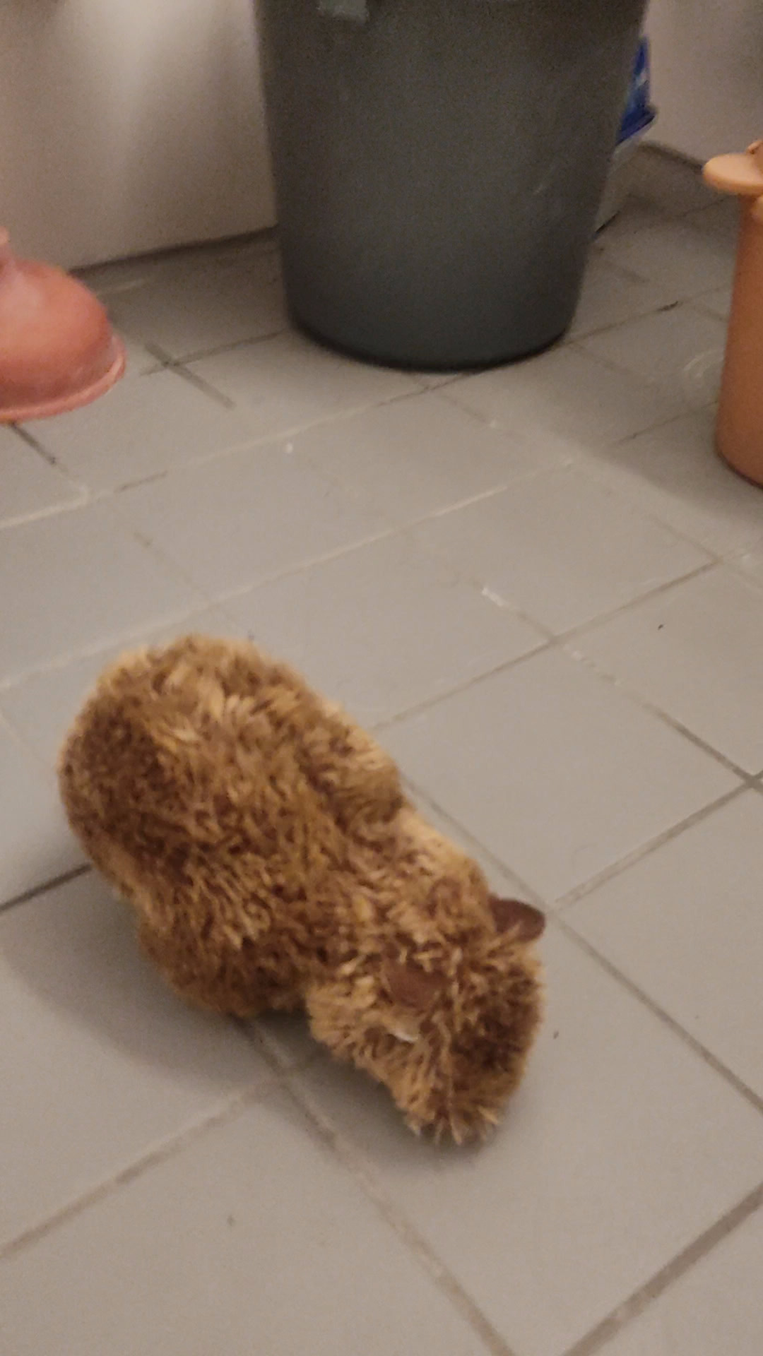 Cedrics Projects 2 - Roboflow Universe