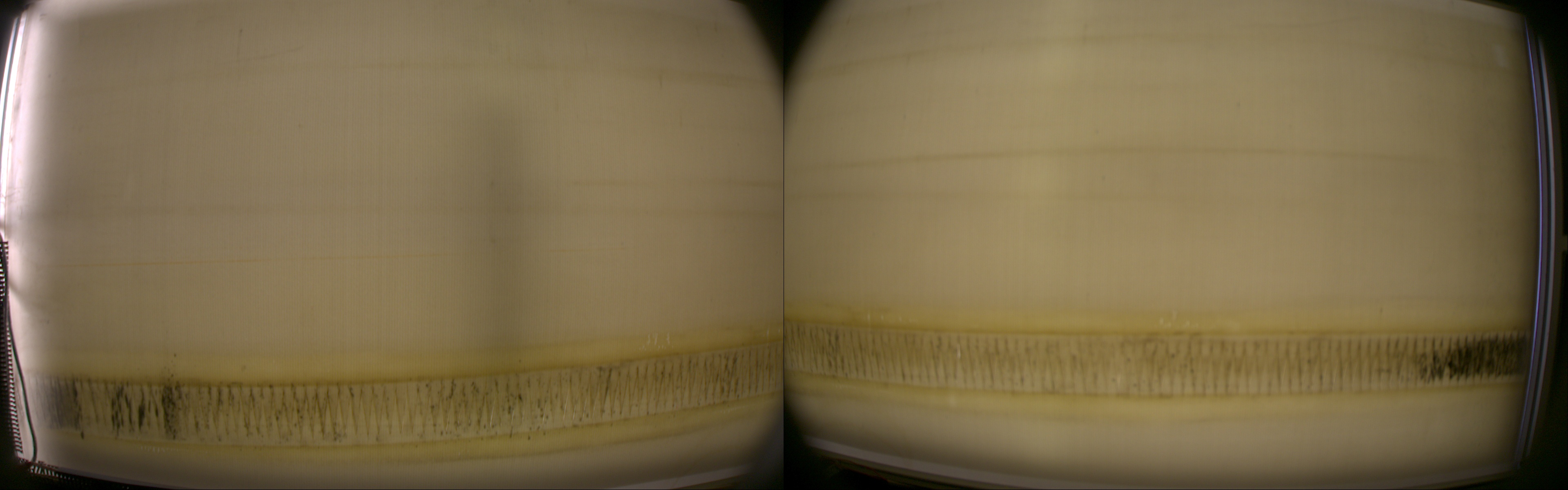 horizontal-lisa Instance Segmentation Dataset by try