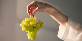 grapes Object Detection Dataset and Pre-Trained Model by Hatice