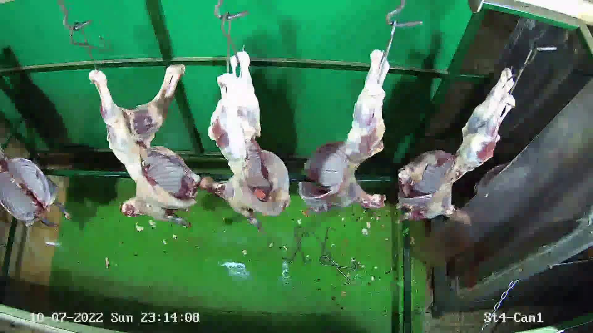 Adahi Object Detection Dataset by Bahria University Islamabad Campus