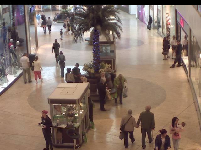 people counting Object Detection Model by course