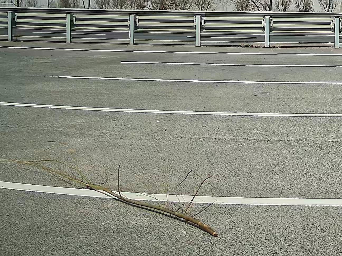 road Instance Segmentation Dataset by none