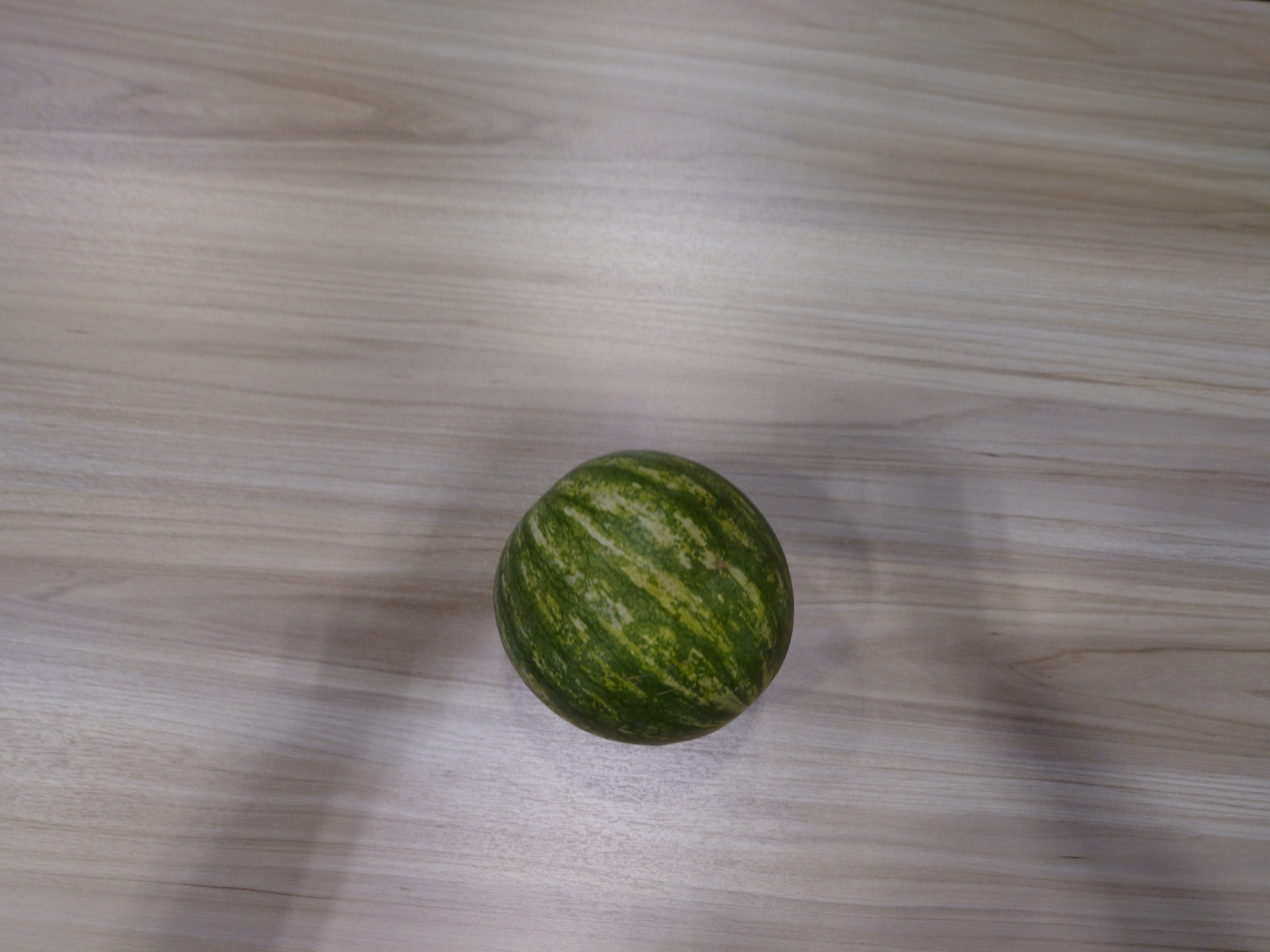watermelon-demo-senator Object Detection Dataset by DylanDemos