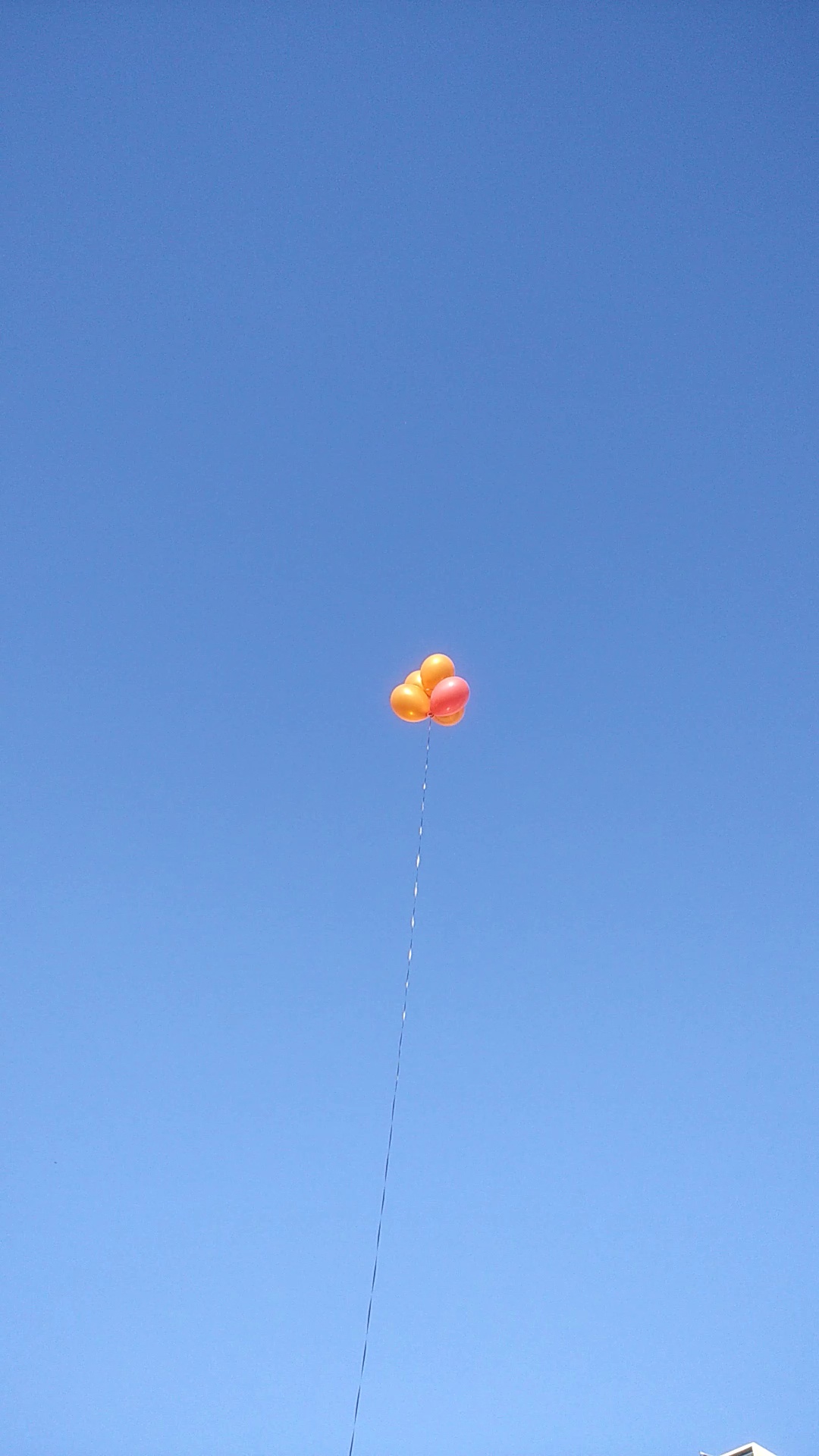 balloon2 Object Detection Dataset by balloon