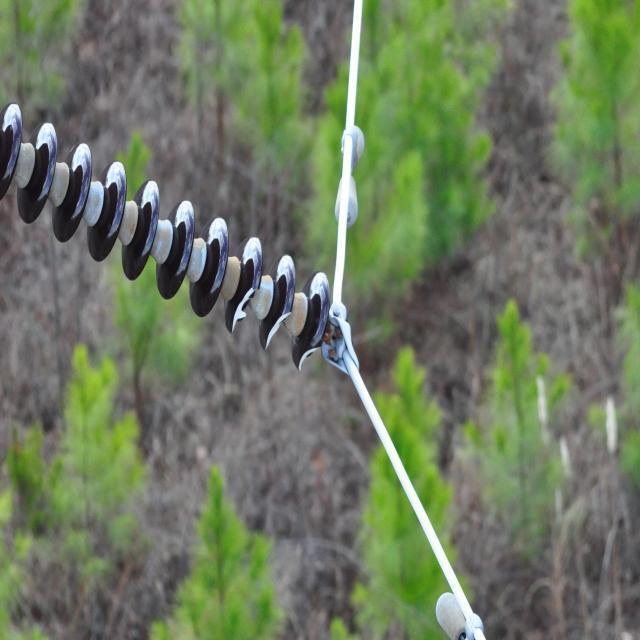 Insulator Instance Segmentation Dataset By Insulator