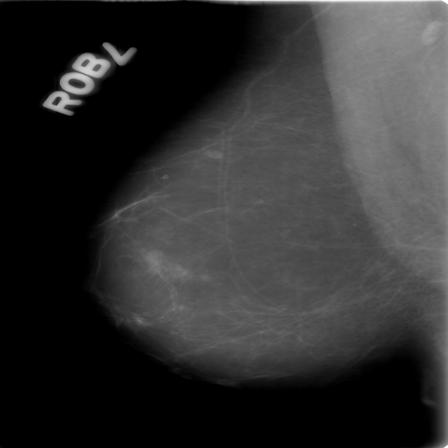 My First Project Object Detection Model by FYP