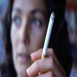 Smoking detection Object Detection Model by Vidoka