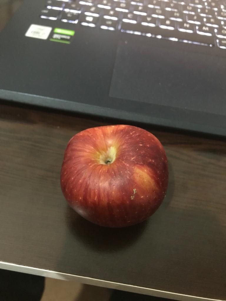 Bitirme_1 Object Detection Model by Bitirme 1