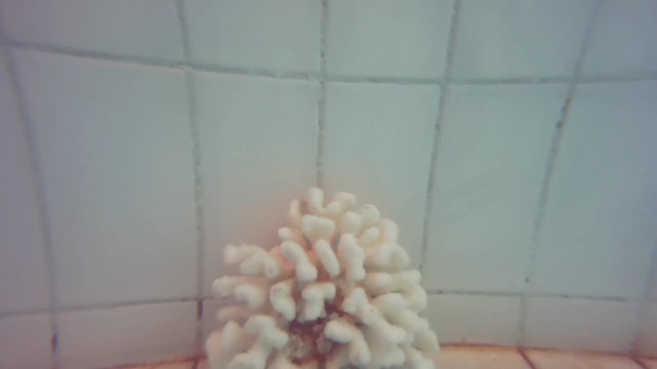 segmentasi-od Instance Segmentation Dataset by Zo TA