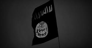 faradars - Roboflow Universe