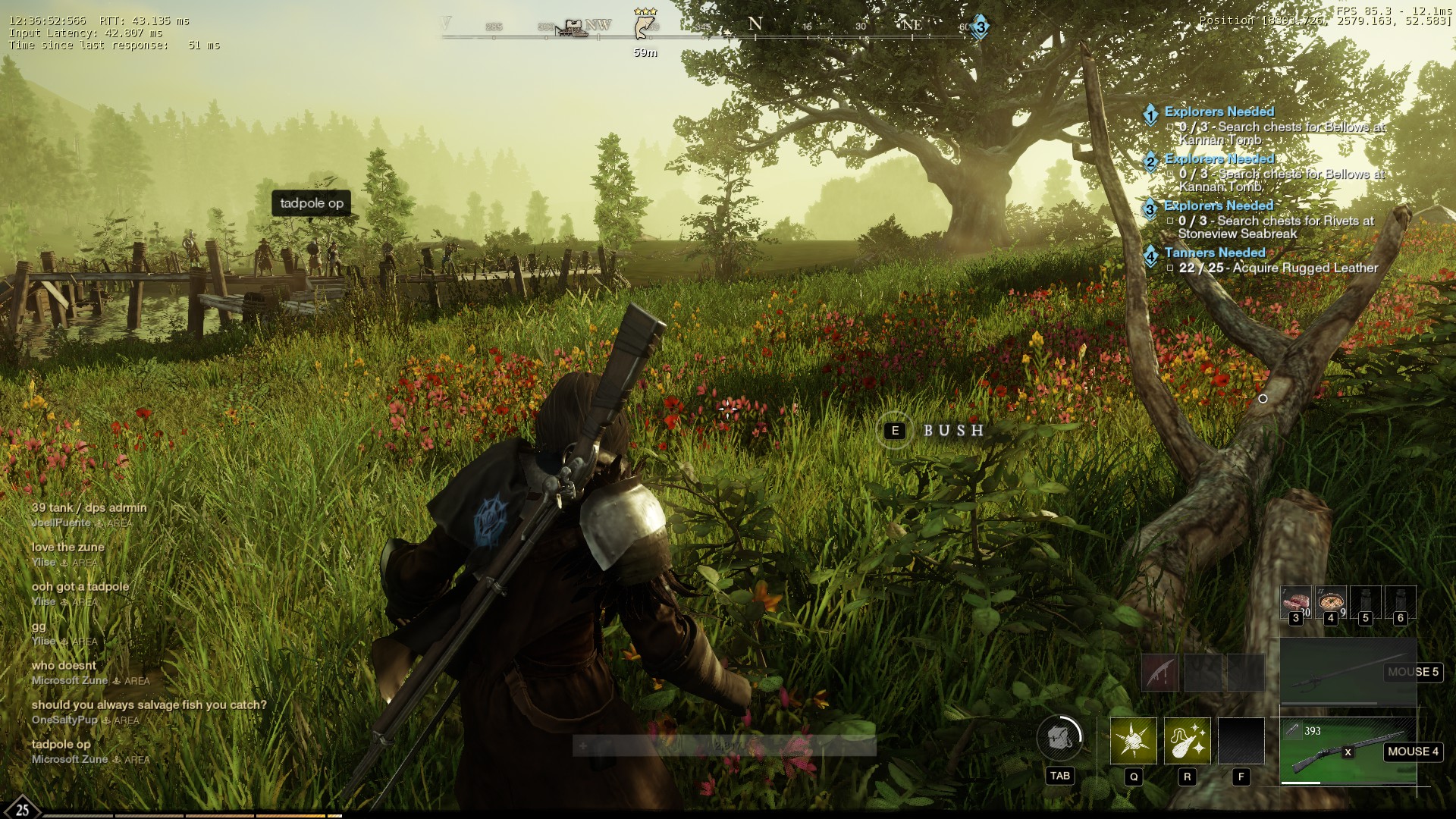 New World Bot Object Detection Dataset by Aaron Thomas