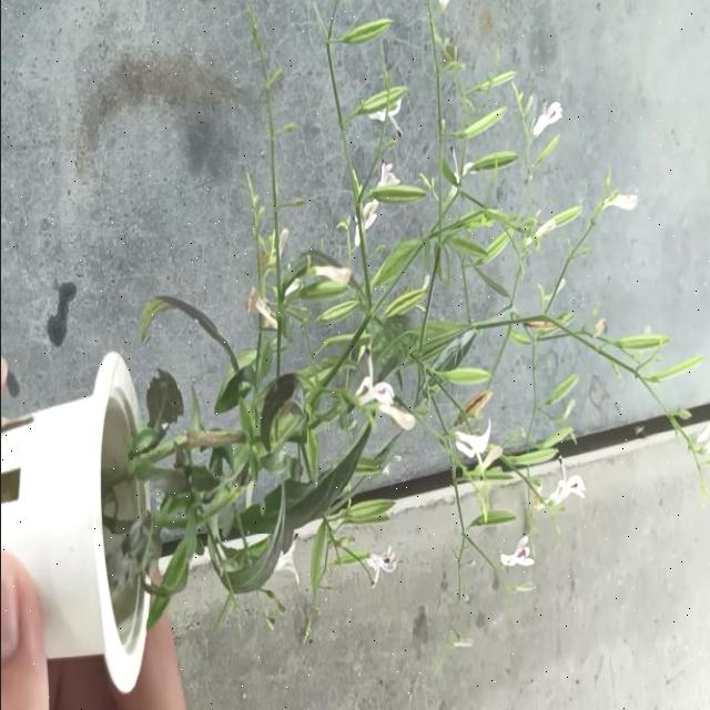 SUM DATA - Roboflow Universe