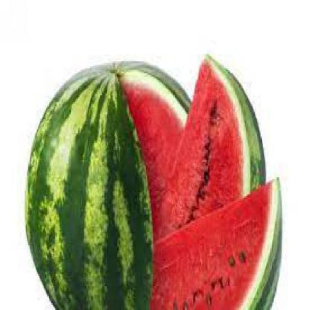 Melon Object Detection Dataset by ching