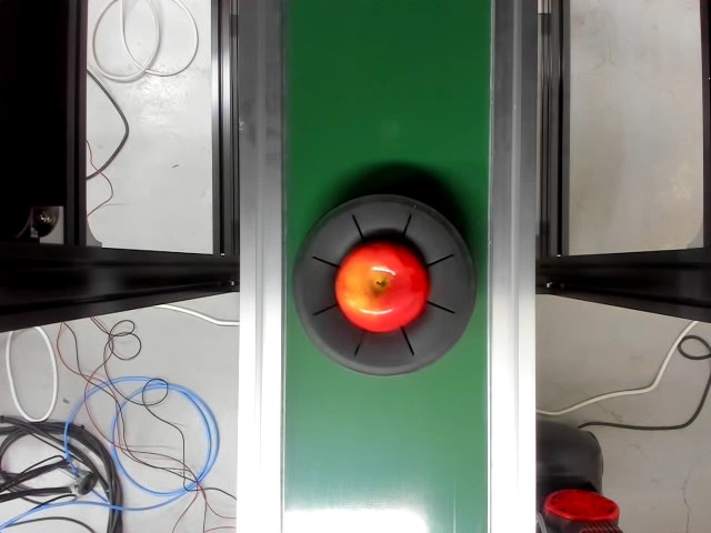 Apple Detection 0630 Object Detection Dataset And Pre Trained Model By Yolov8