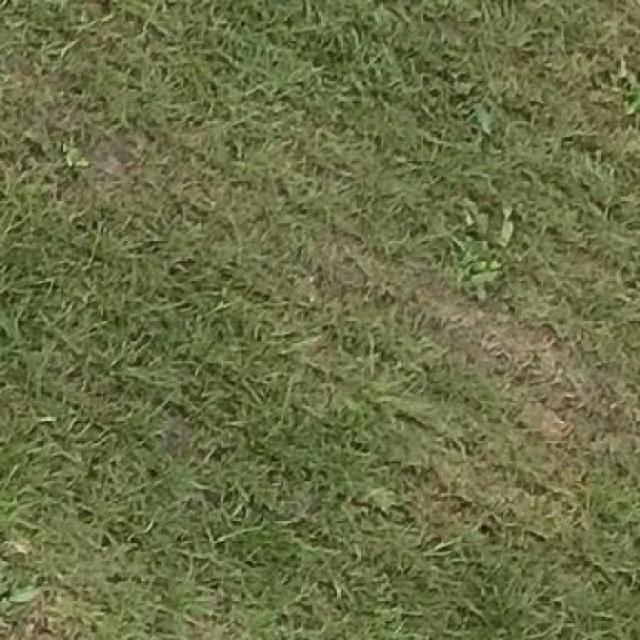 Weed Detection Final Object Detection Dataset And Pre Trained Model By R3