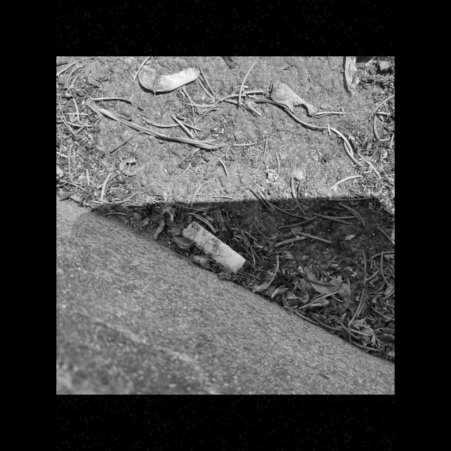 ruru Object Detection Model by zuzu