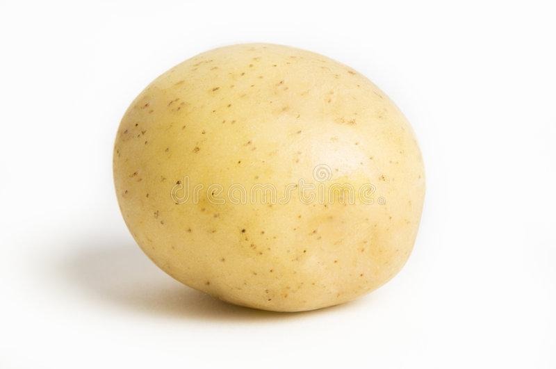 wgu intro ai - Roboflow Universe