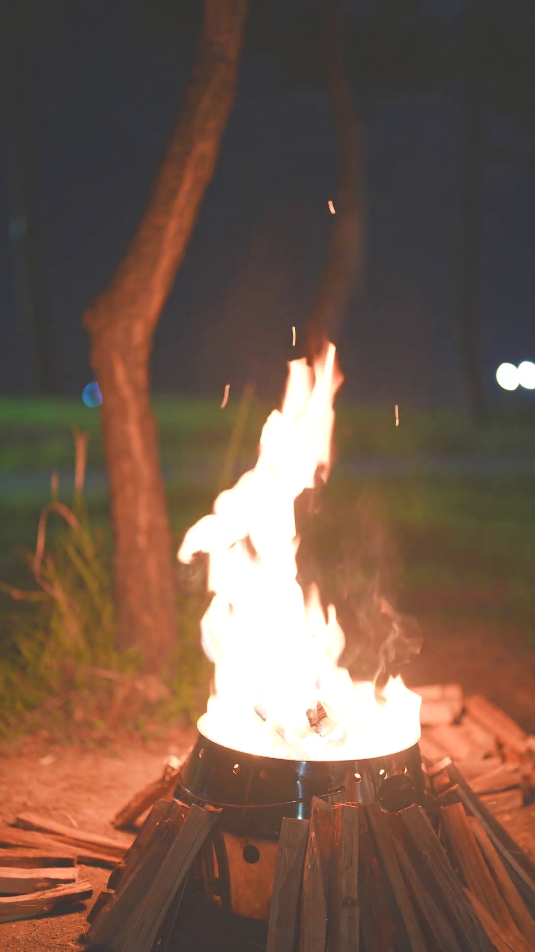 fire_v2 Object Detection Dataset and Pre-Trained Model by hhh