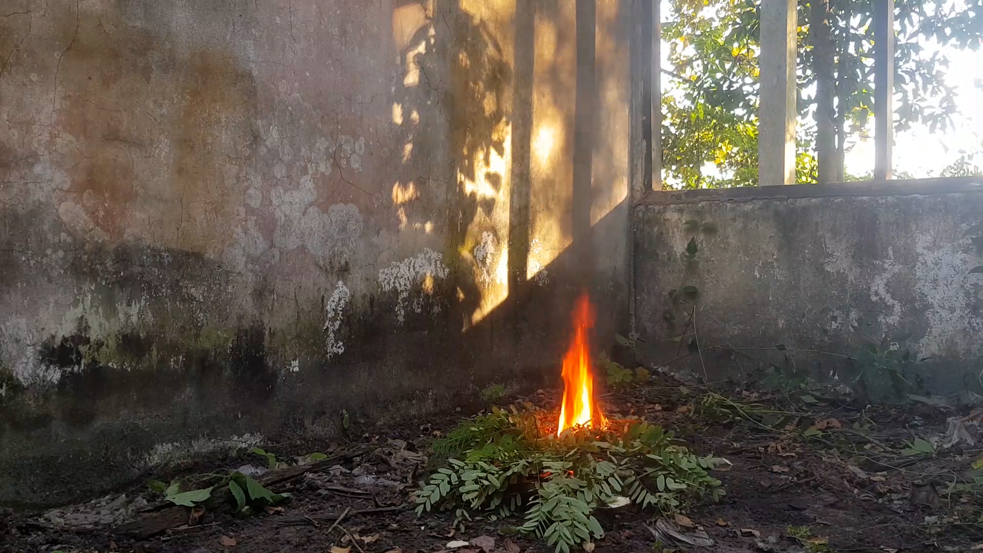 fire Object Detection Dataset and Pre-Trained Model by hhh