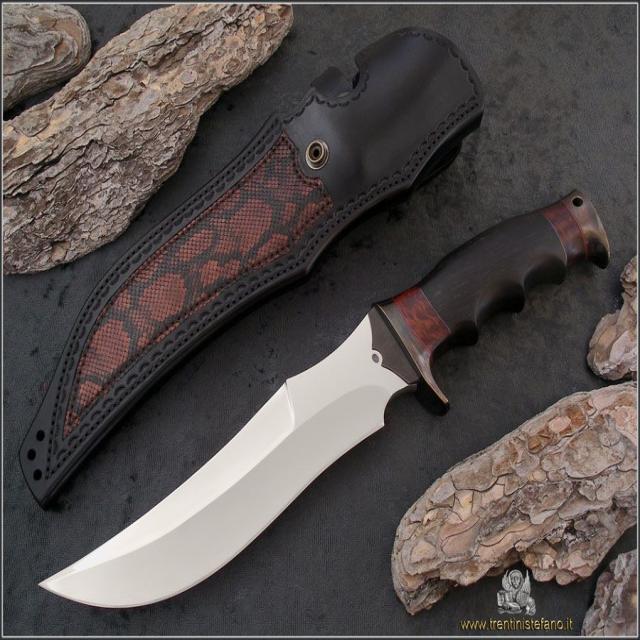 Guardian Eye Object Detection Model by Guardian Eye