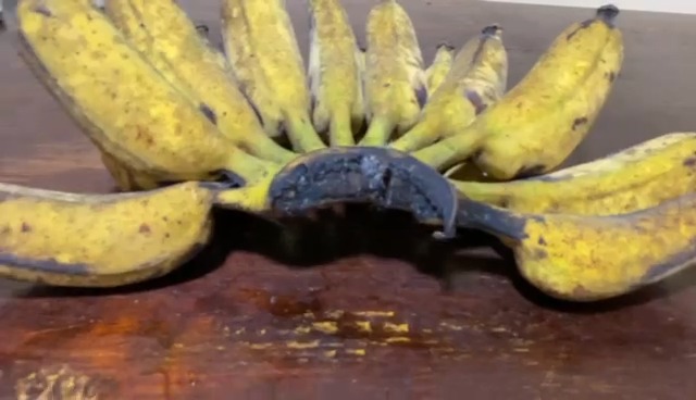 Banana Object Detection Dataset and Pre-Trained Model by Ruksina