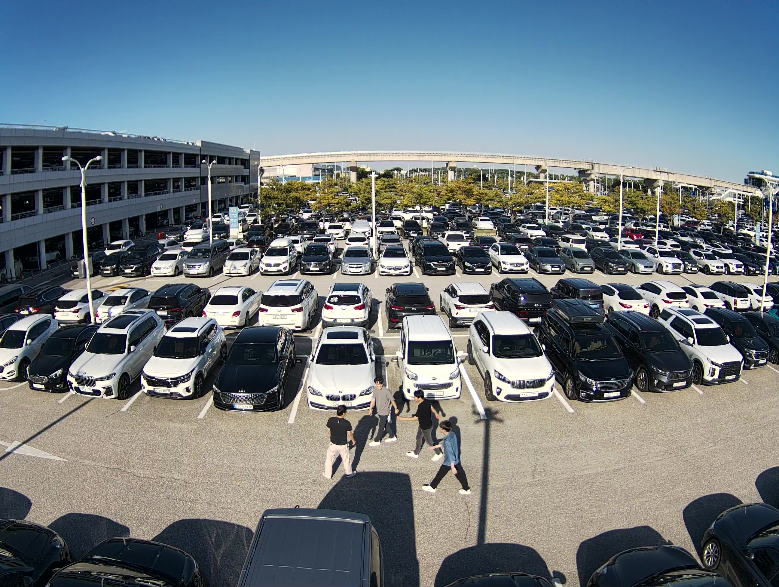 Fight Keypoint Detection Dataset by inGuardSafety