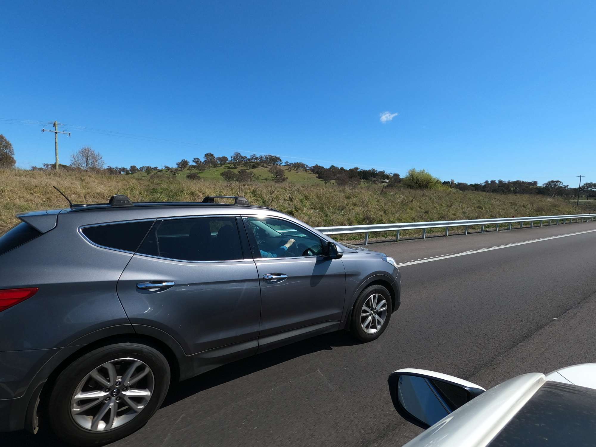 bare_ground Instance Segmentation Dataset and Pre-Trained Model by training