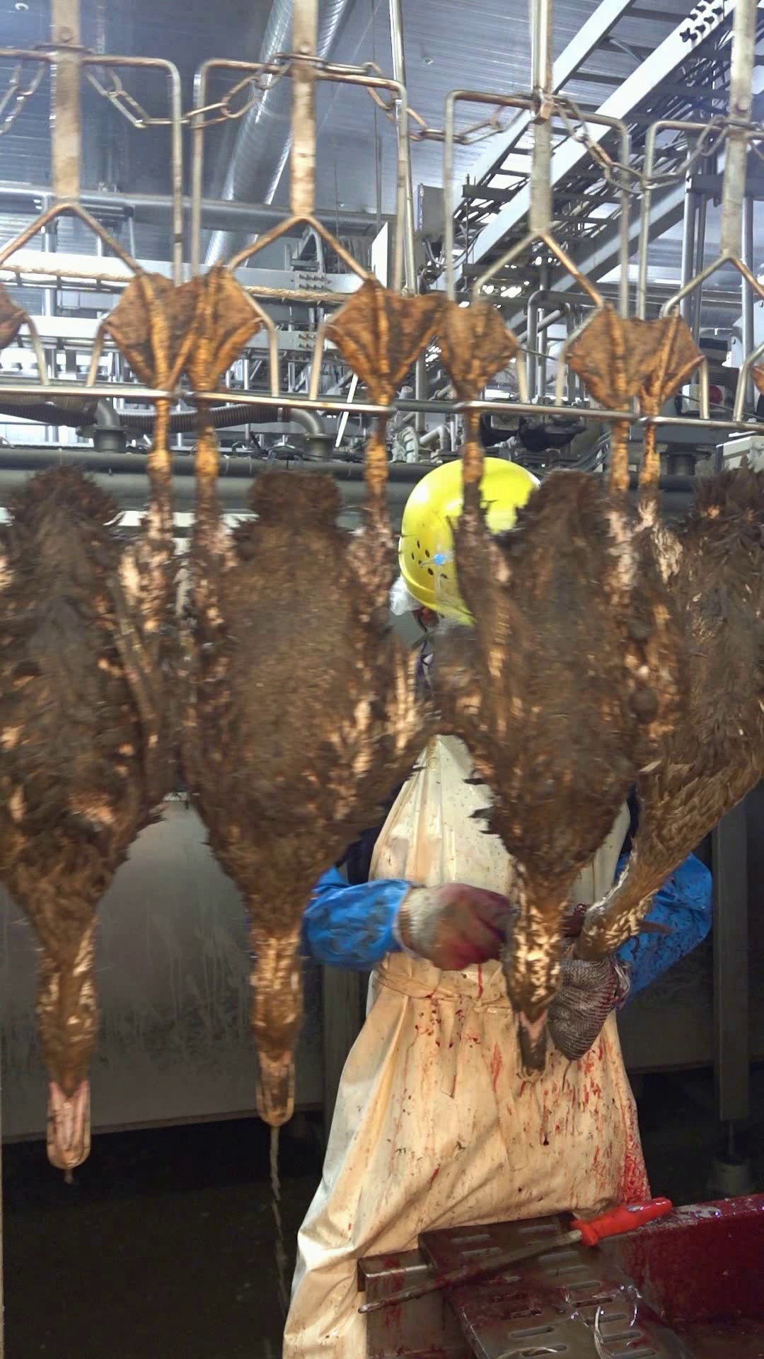 jm Object Detection Dataset by jimin