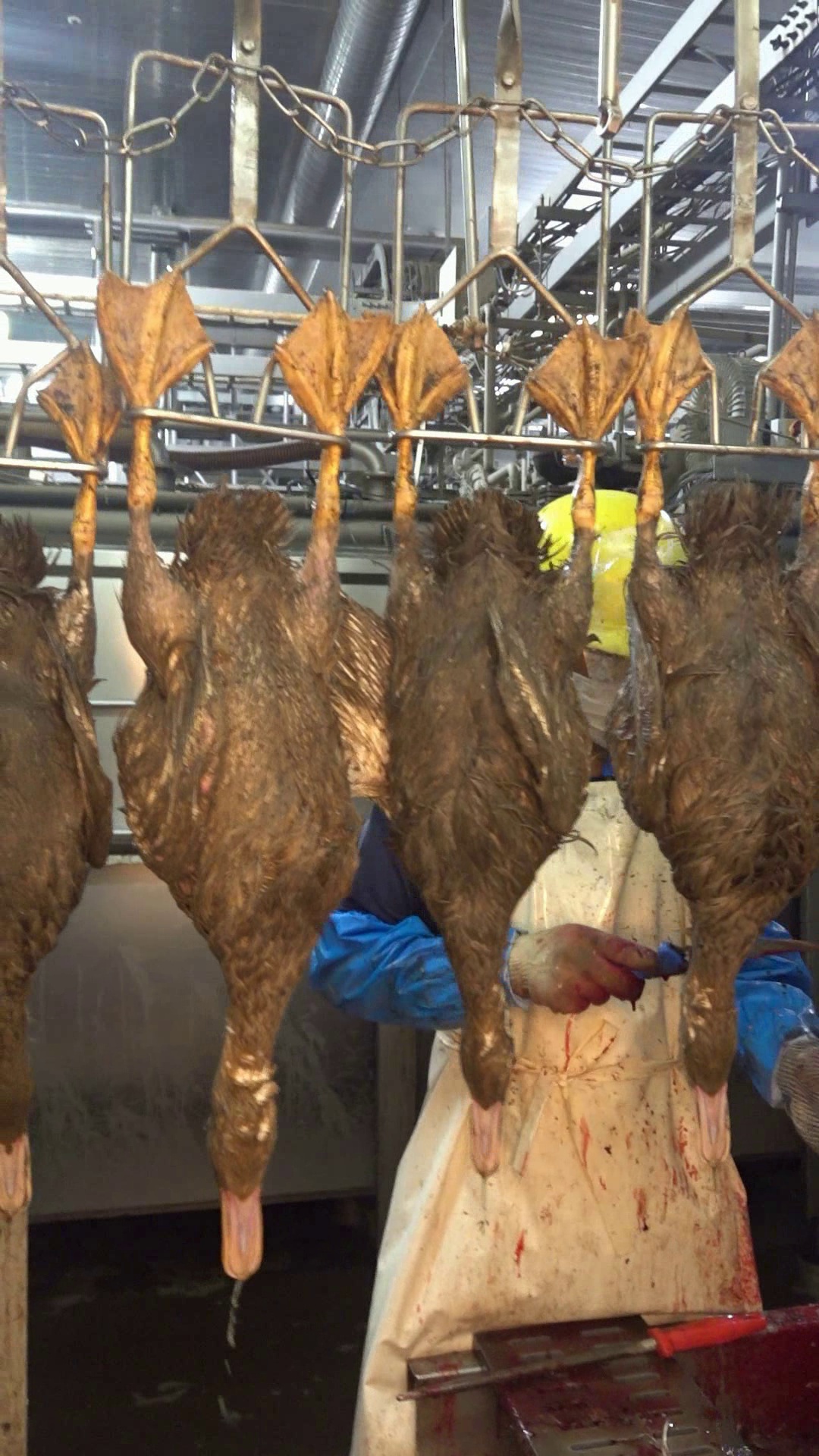 add-hundred Instance Segmentation Dataset by jimin