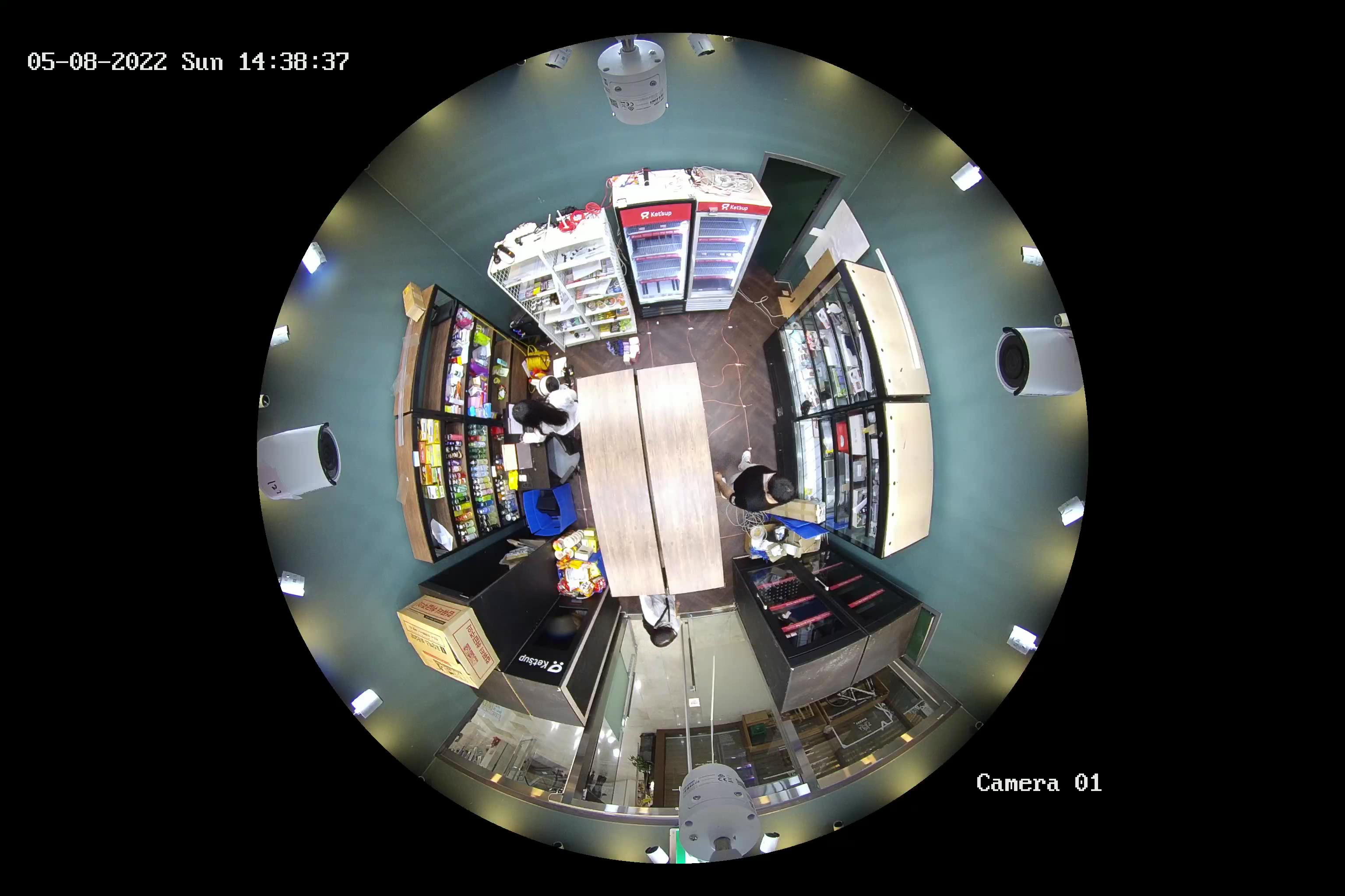 fish Object Detection Dataset by ypol