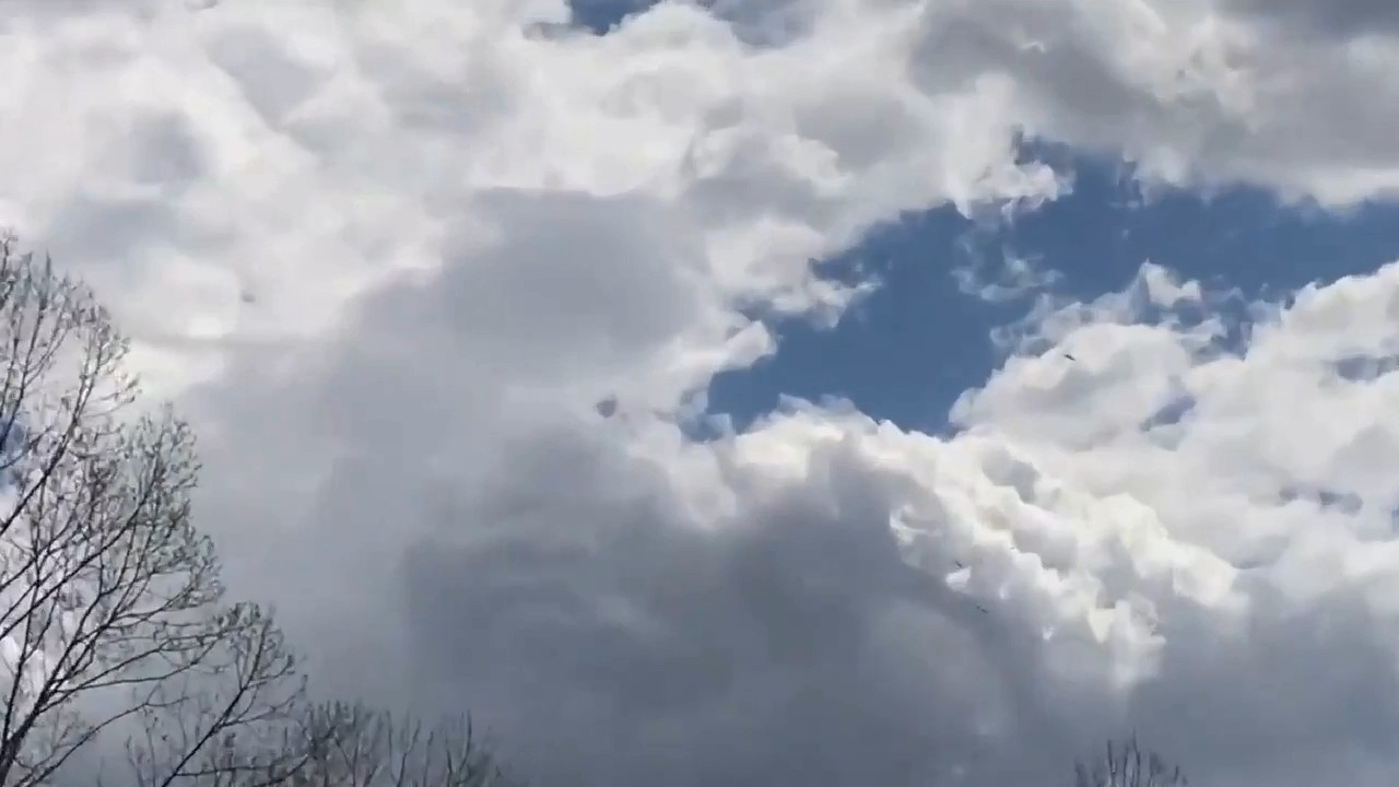 vbird Object Detection Dataset by pete piya