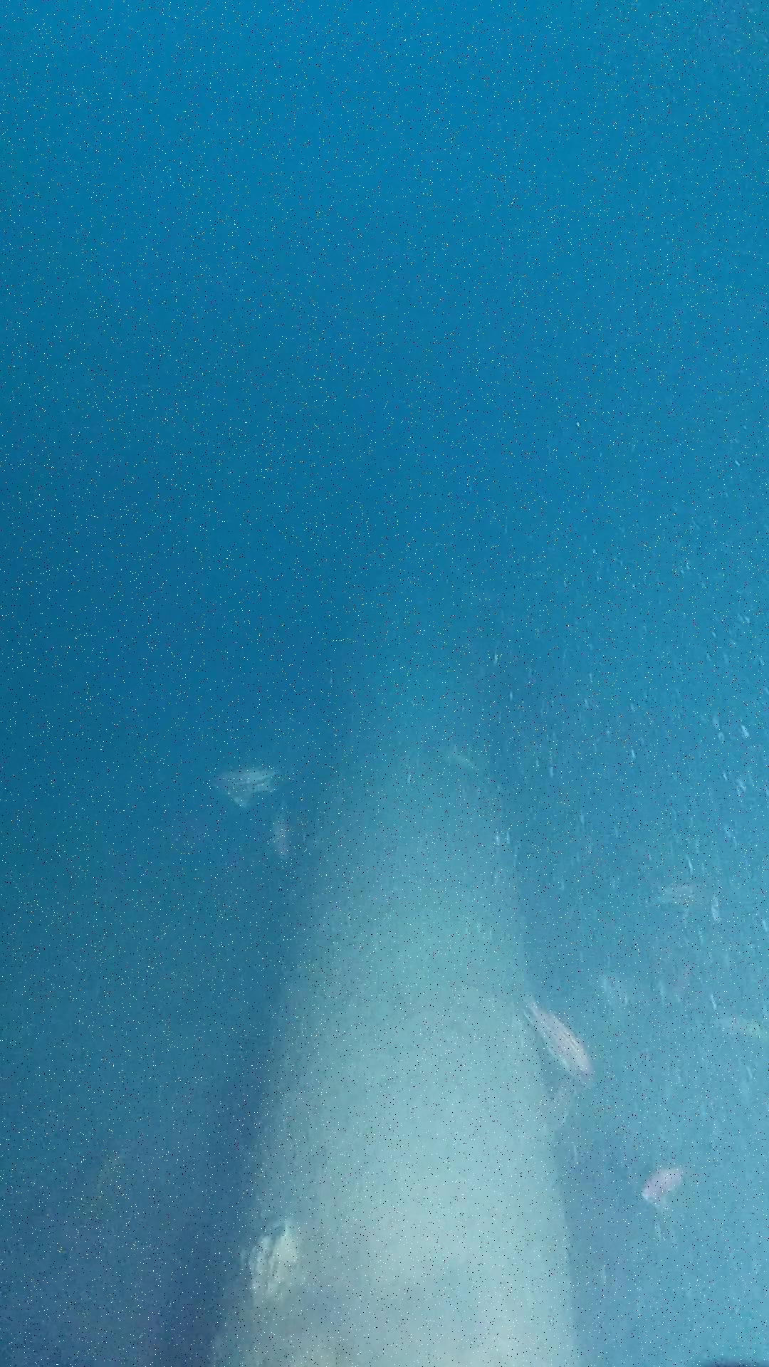 multiple Object Detection Dataset by pete piya