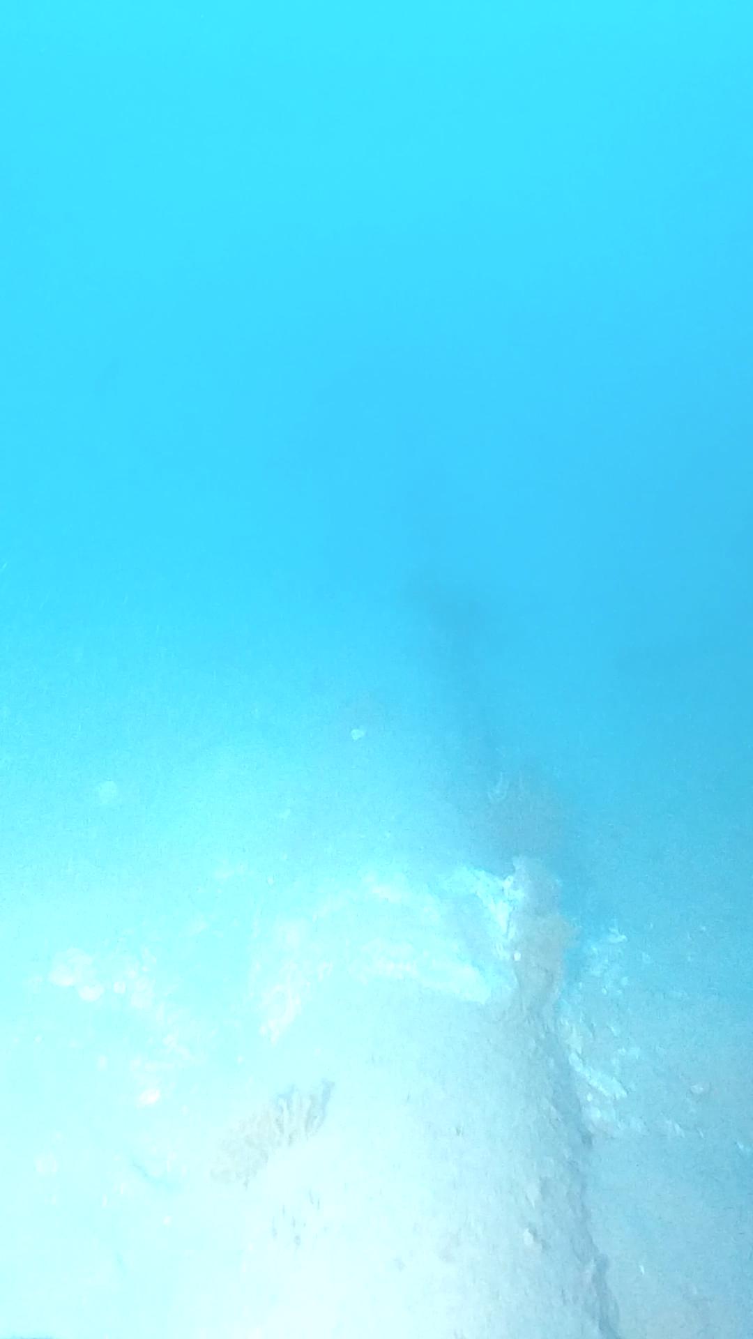 pipes_only2 Object Detection Dataset by pete piya