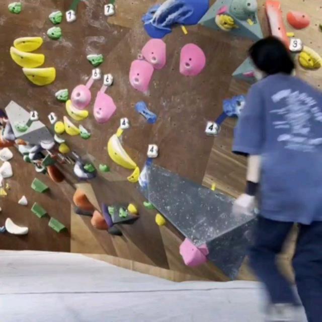 climbing Instance Segmentation Model by Spraywall ID