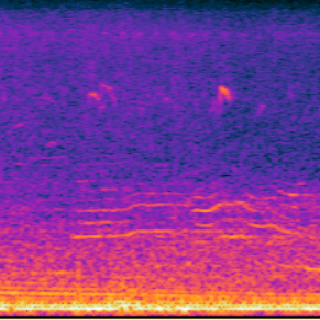 rispro_lpdp Object Detection Model by ECS