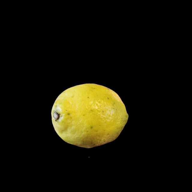 lemon+quality Instance Segmentation Dataset by Personal