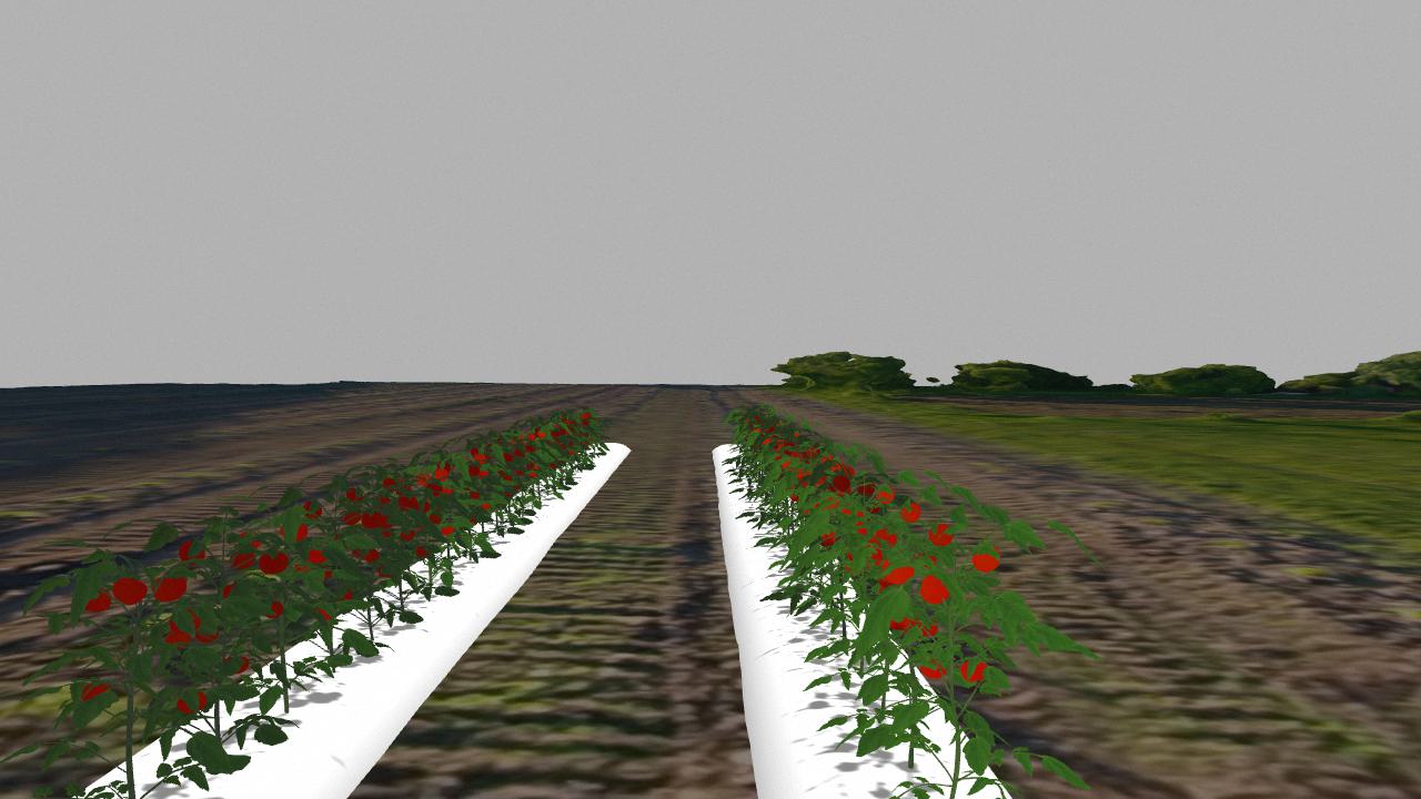 How to Use the Segmentation_G_P Instance Segmentation API