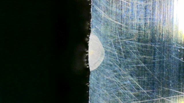 316 fin Semantic Segmentation Dataset and Pre-Trained Model by University of Toronto