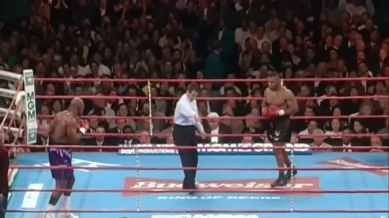 boxing Object Detection Model by Alexis