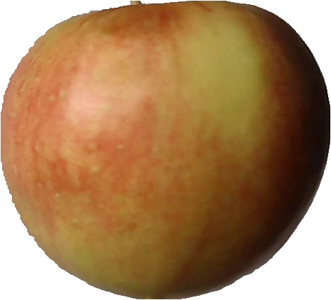 apples Object Detection Dataset by Apples