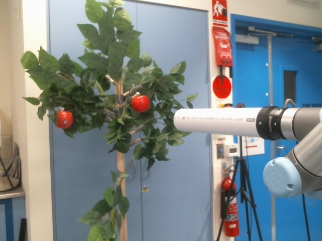 newapple Object Detection Dataset by apple