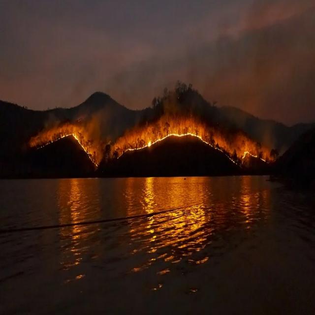 ffd Object Detection Dataset by forest fire