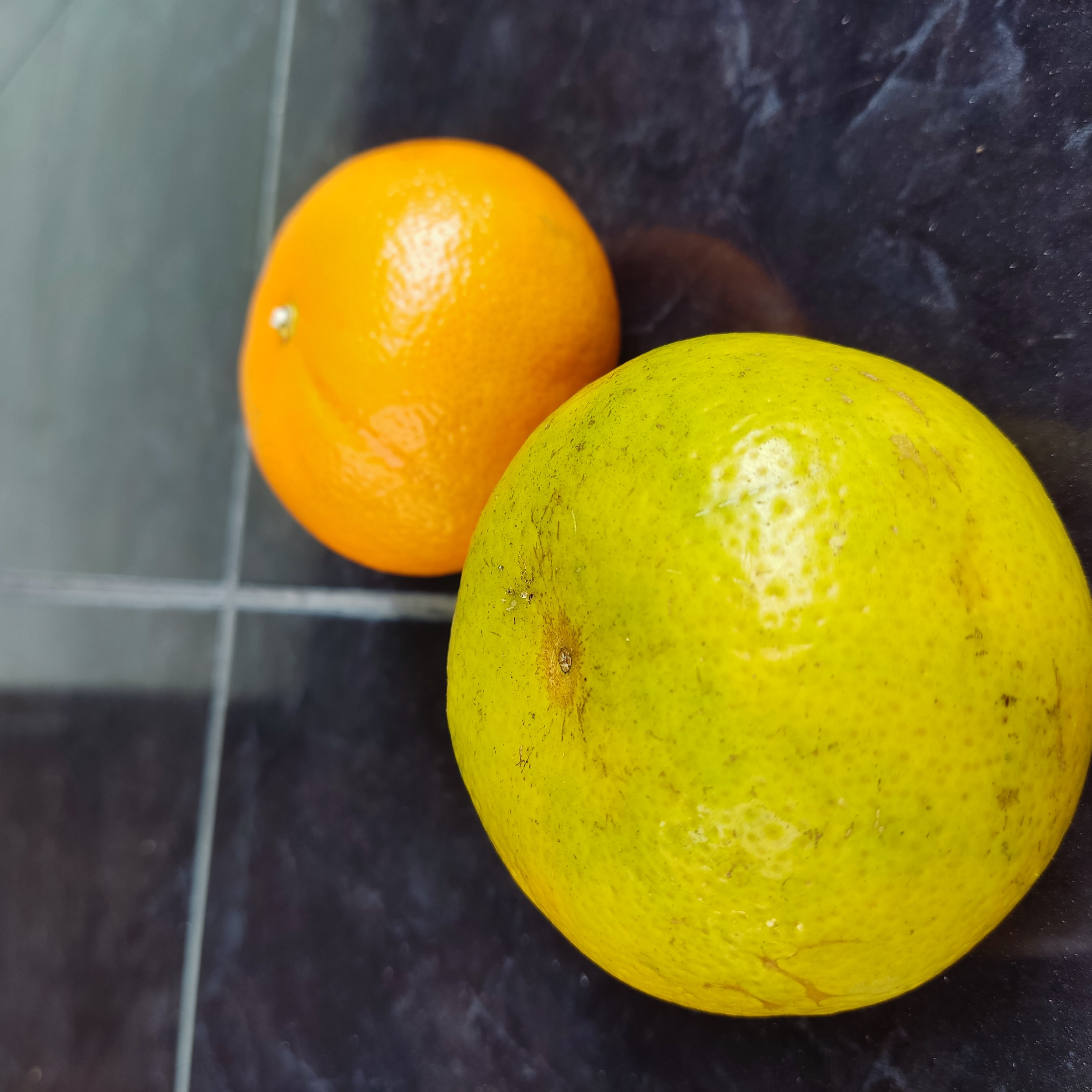 Quality of oranges Object Detection Dataset and Pre-Trained Model by Skripsi