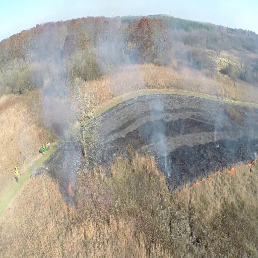 Forest Fire Detection Object Detection Dataset by Chiang Mai University