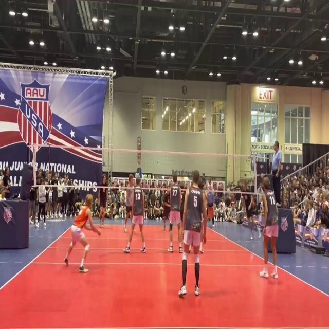 people_and_volleyball Object Detection Dataset and Pre-Trained Model by ...