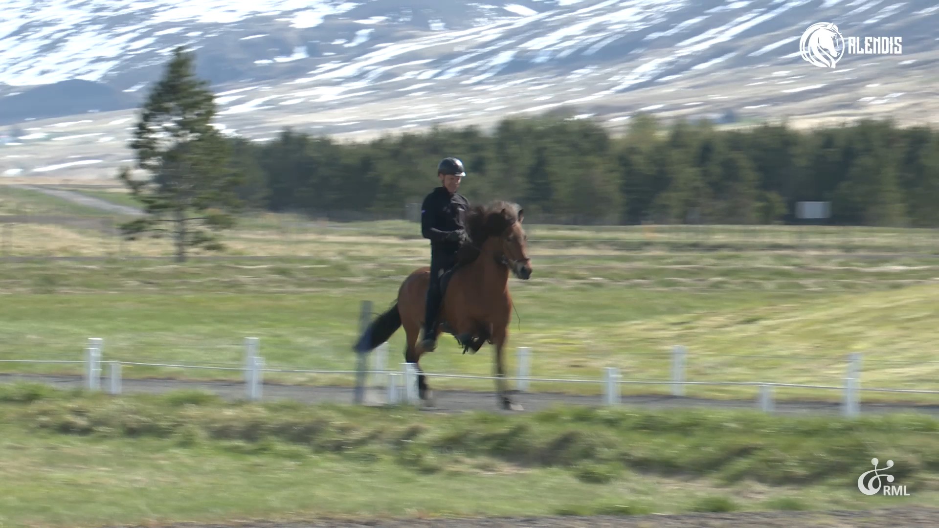 Smart_horse_2 Keypoint Detection Dataset by Smarthorse2