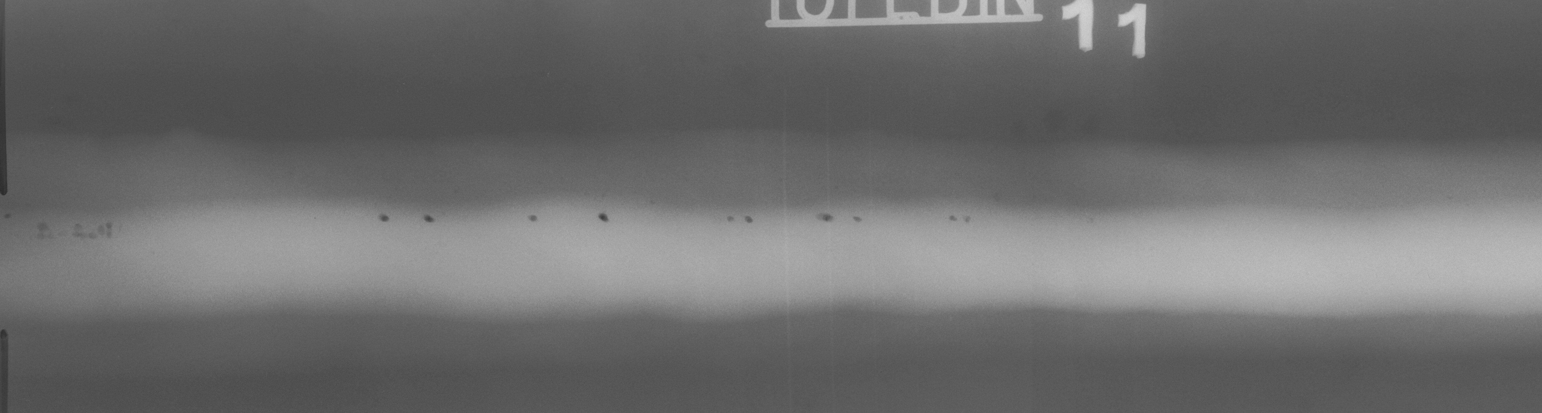 pfe Object Detection Dataset by issra