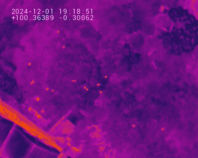 How to Use the Thermal Monkey Detection Object Detection API