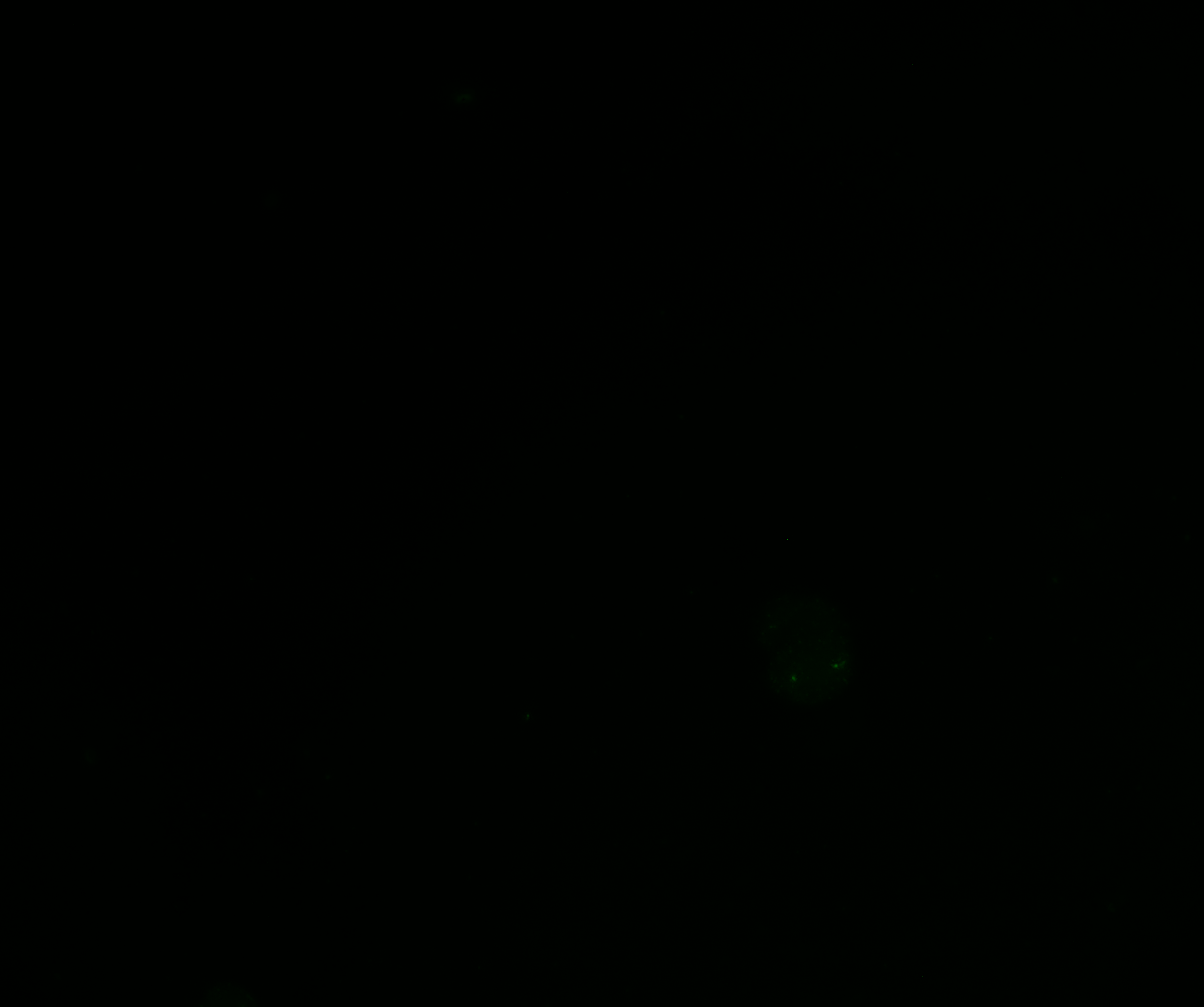 signal Object Detection Dataset by fish